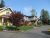 The Rolling Bay Neighborhood on Bainbridge Island – Jen Pells