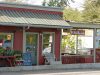 The Rolling Bay Neighborhood on Bainbridge Island – Jen Pells