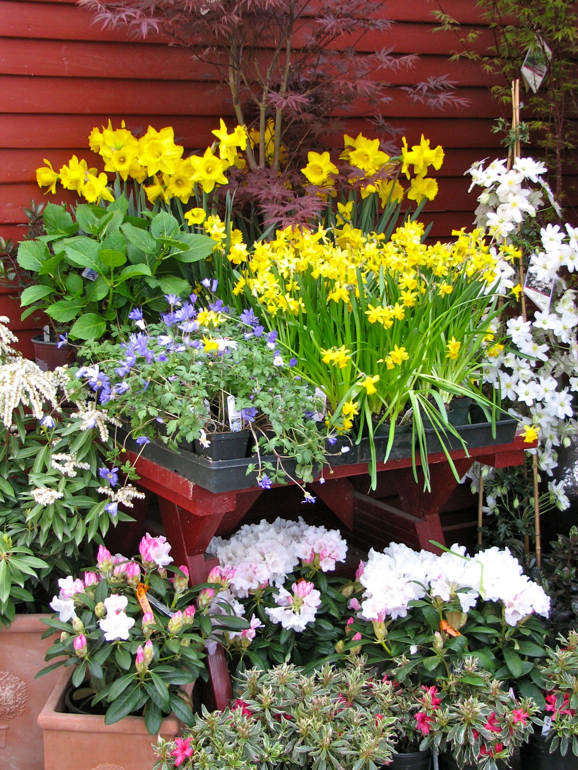 The Rolling Bay Neighborhood on Bainbridge Island – Jen Pells